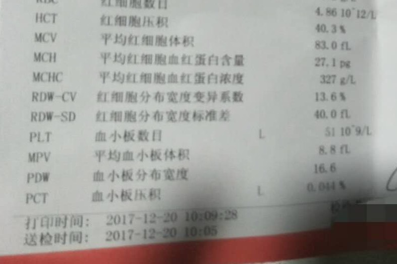 血小板低瘀斑图片小板低出点图片小板低的红斑图片大山谷图库